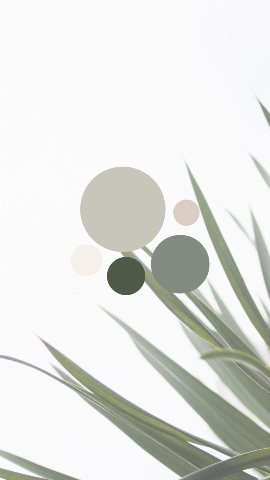 Dr. Michelle Hislop | sojournandsoul.com